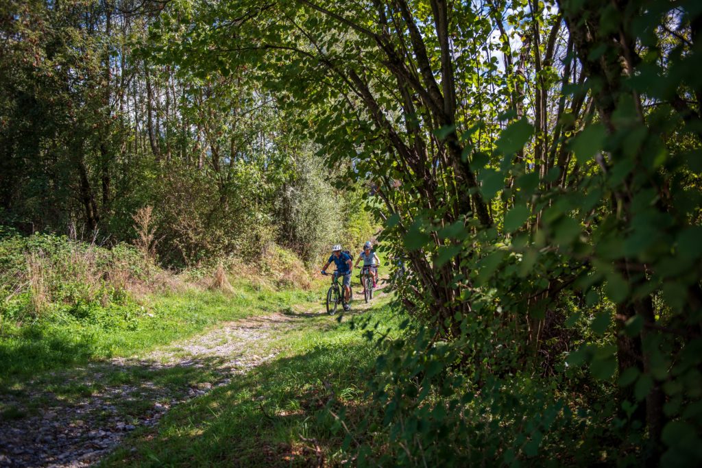 Vélo & Vignes à Ayze : une balade œnotouristique inoubliable en Haute ...